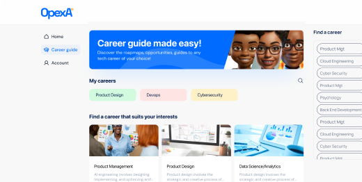 Opex Consult